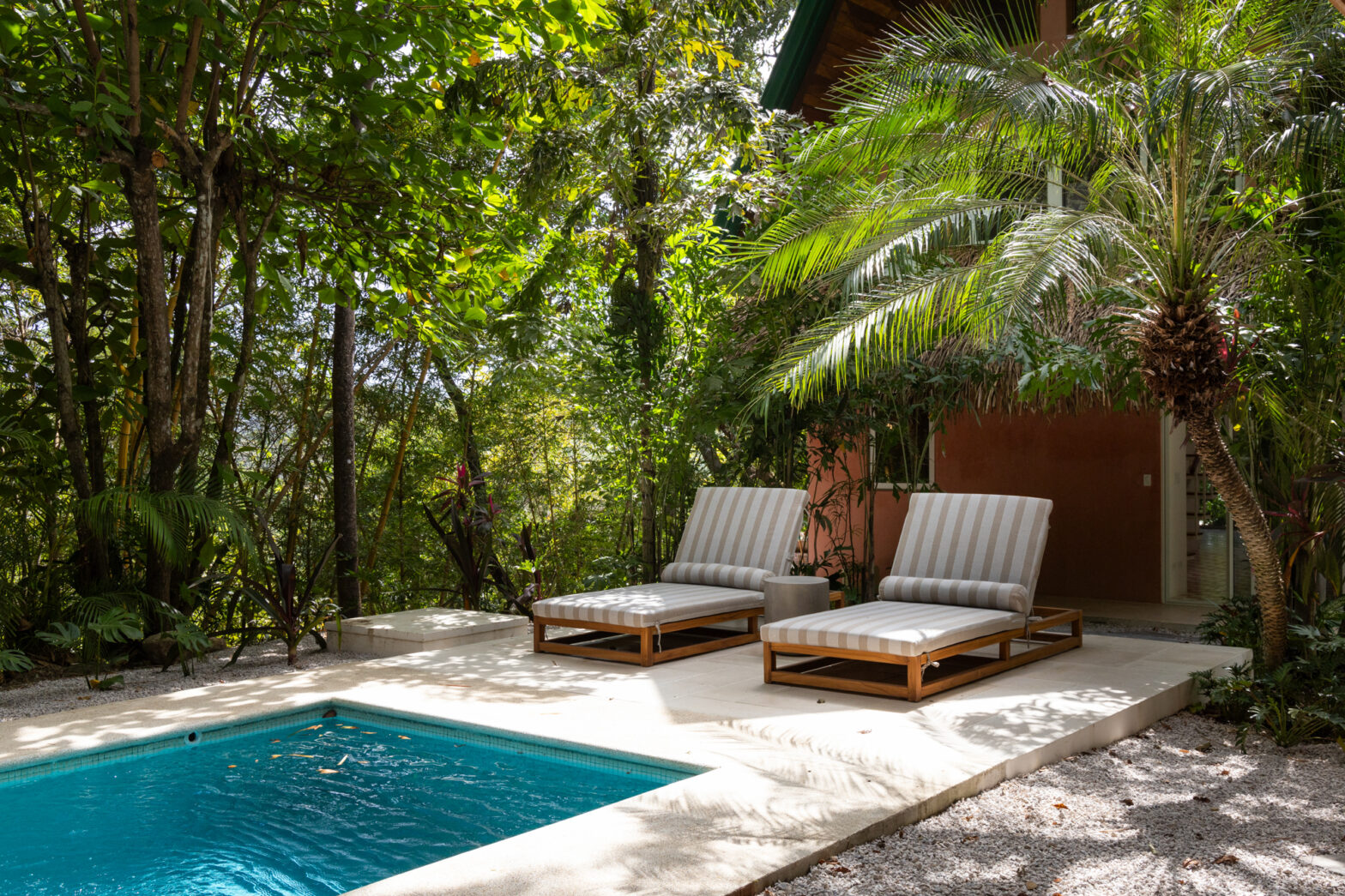 Pink House – Cola Blanca Studio